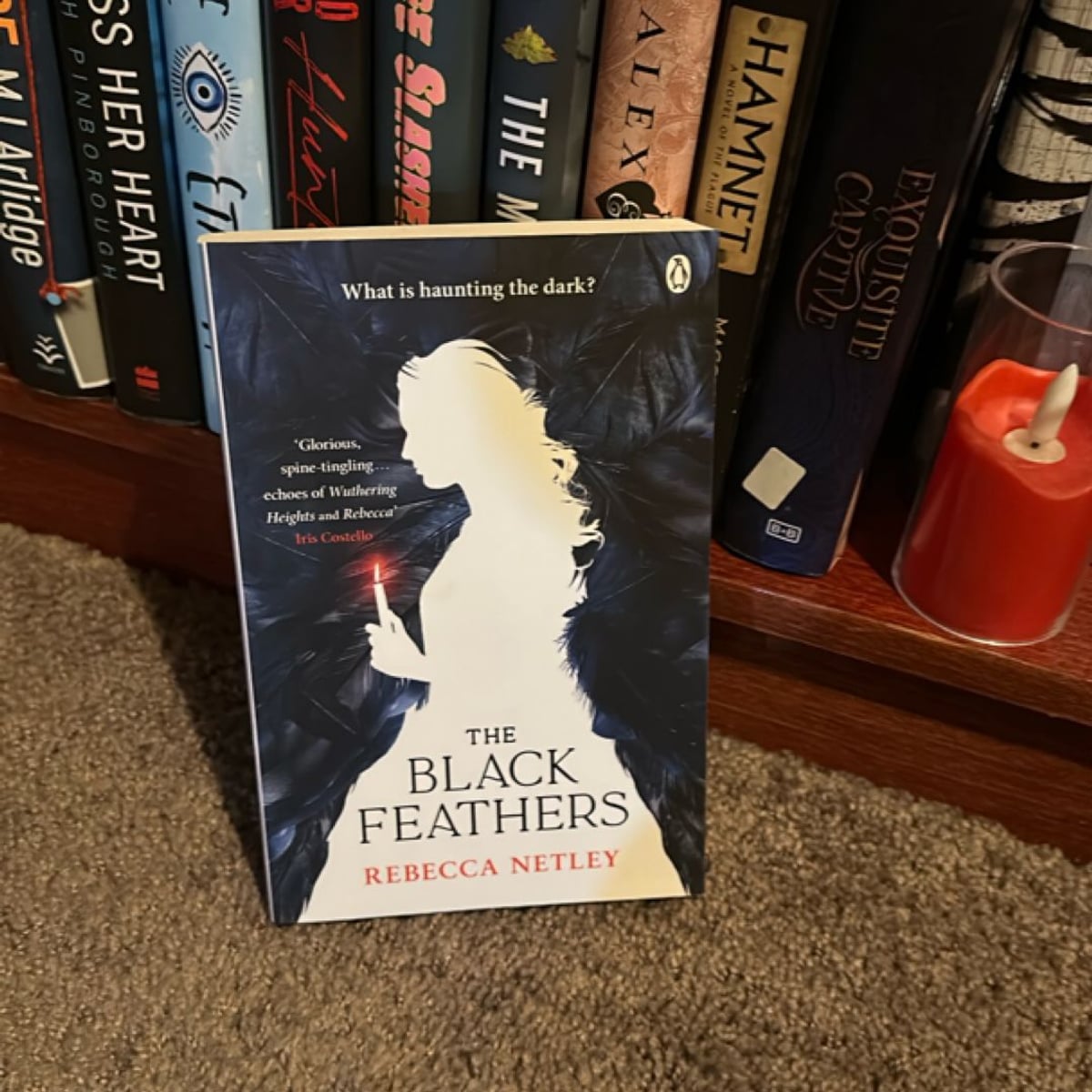 The Black Feathers by Rebecca Netley, Paperback | Pangobooks