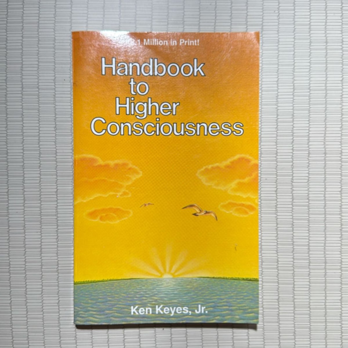 Handbook to Higher Consciousness by Ken Keyes