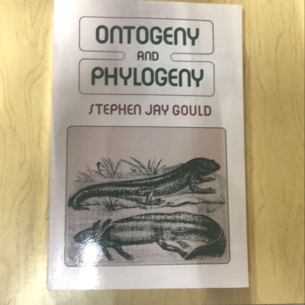 Ontogeny and Phylogeny by Stephen Jay Gould