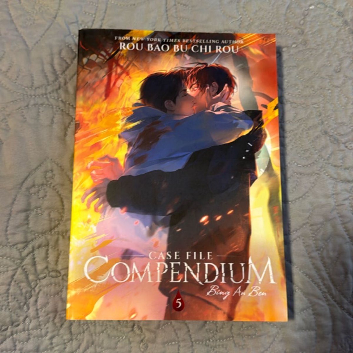 Case File Compendium: Bing an Ben (Novel) Vol. 5 by Rou Bao Rou Bao Bu ...