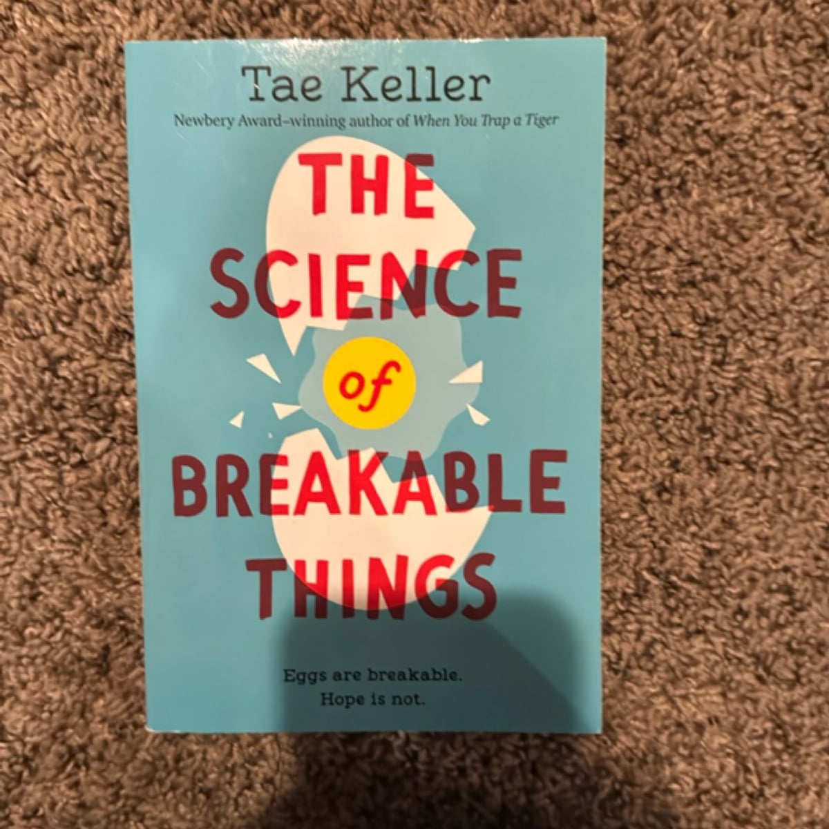 The Science of Breakable Things by Tae Keller