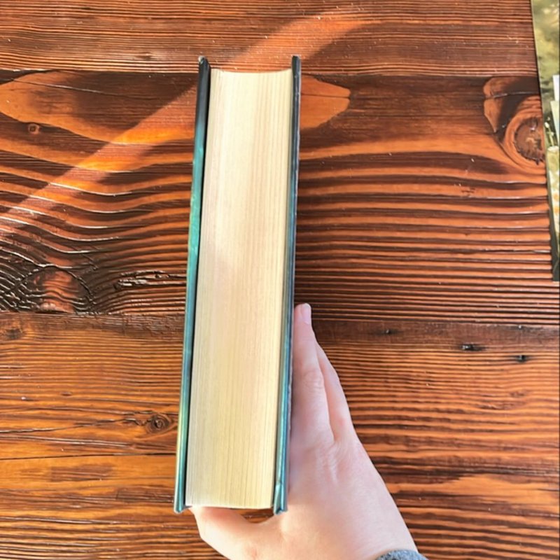 Stormcaster by Cinda Williams Chima , Hardcover | Pangobooks