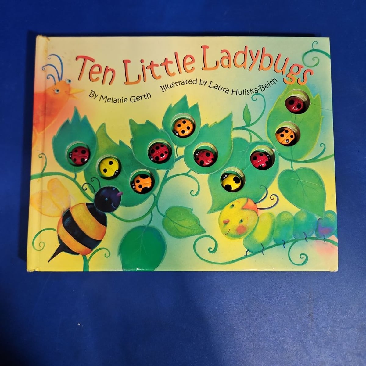 Ten Little Ladybugs by Melanie Gerth