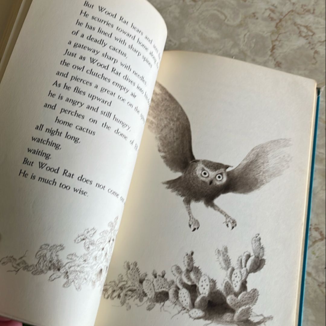 Elf Owl by Mary Buff, Conrad Buff, Hardcover | Pangobooks