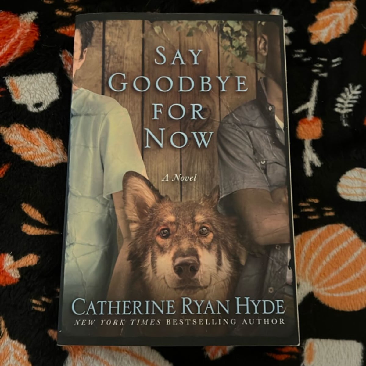 Say Goodbye for Now by Catherine Ryan Hyde