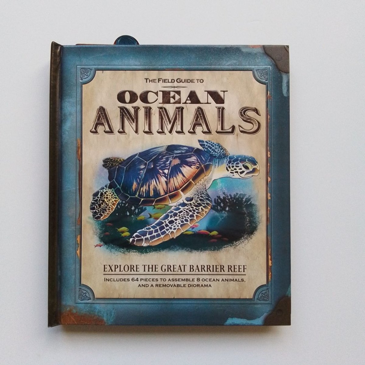Guide to Ocean Animals by Phyllis Perry