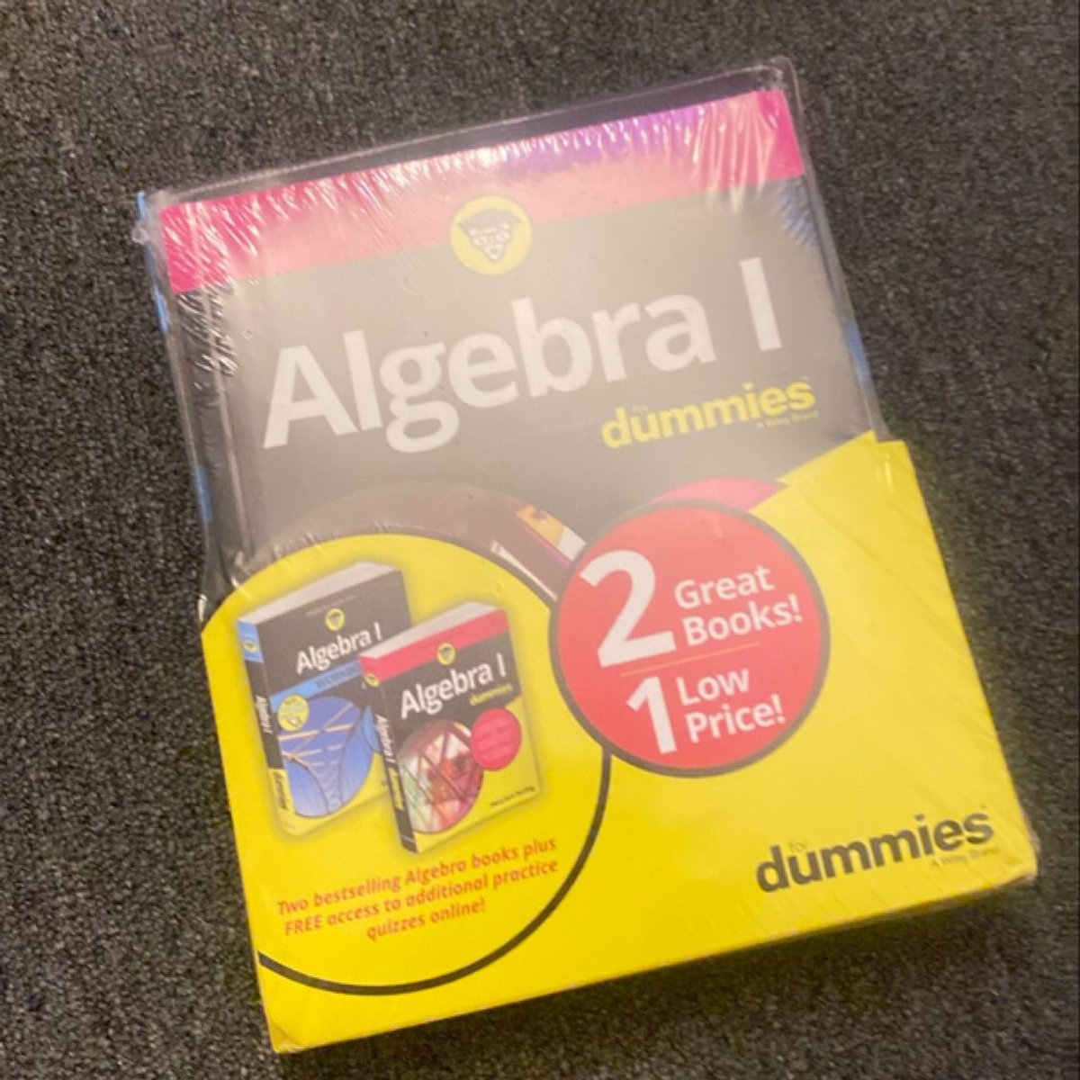 Algebra I for Dummies Book + Workbook Bundle by Mary Jane Sterling