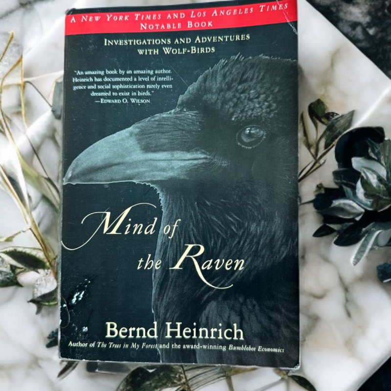 Mind of the Raven by Bernd Heinrich, Paperback | Pangobooks