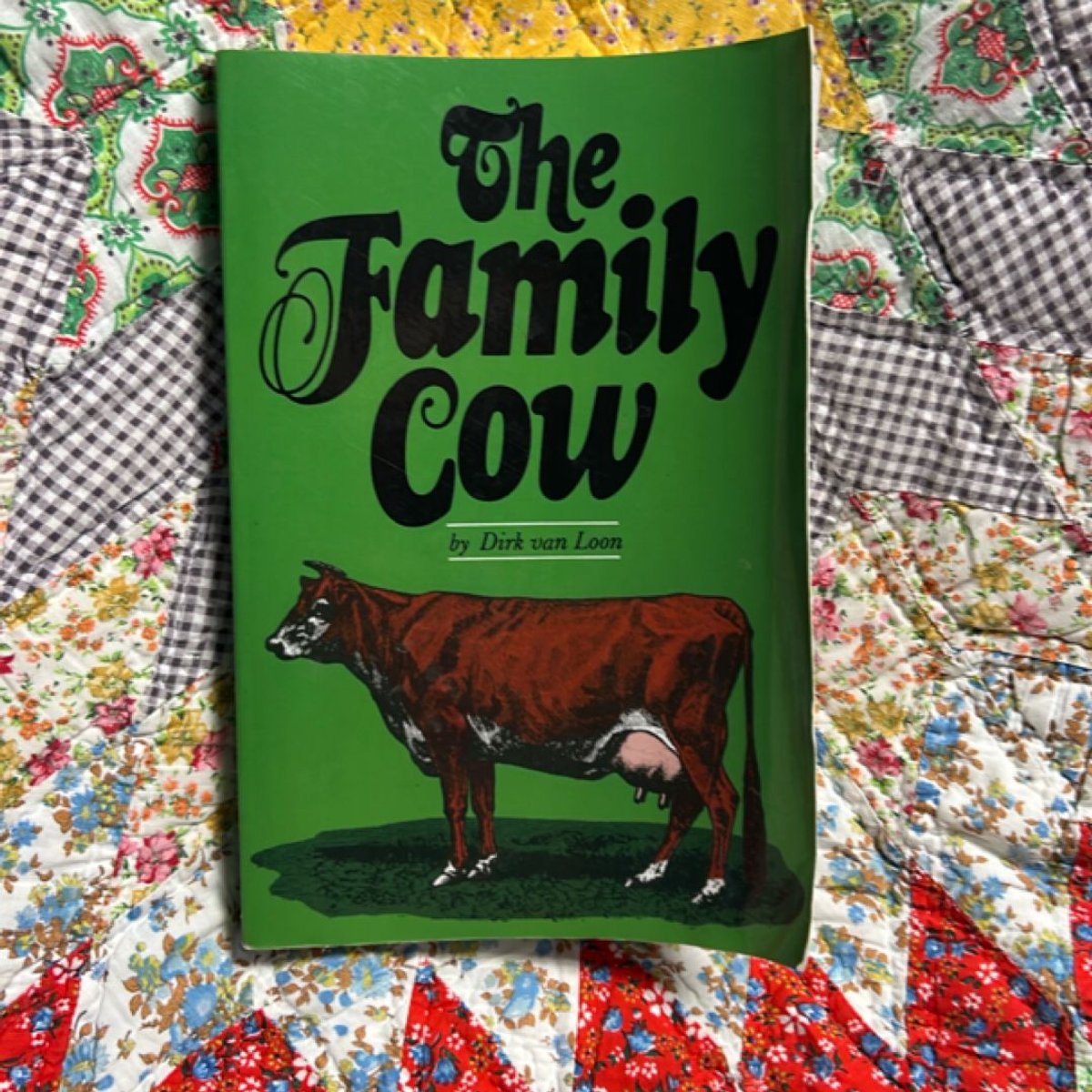 The Family Cow by Dirk Van Loon