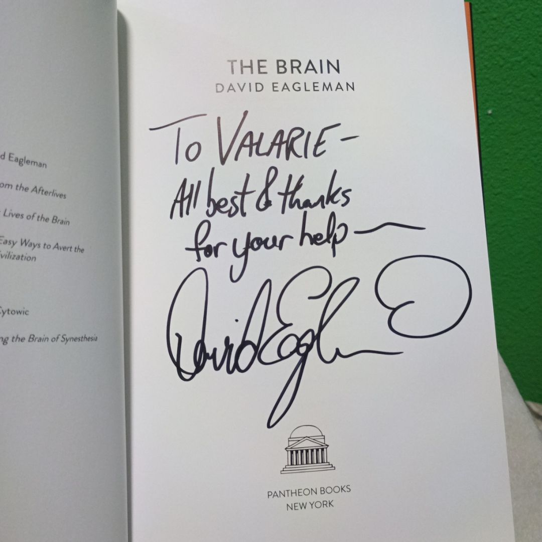 The Brain by David Eagleman