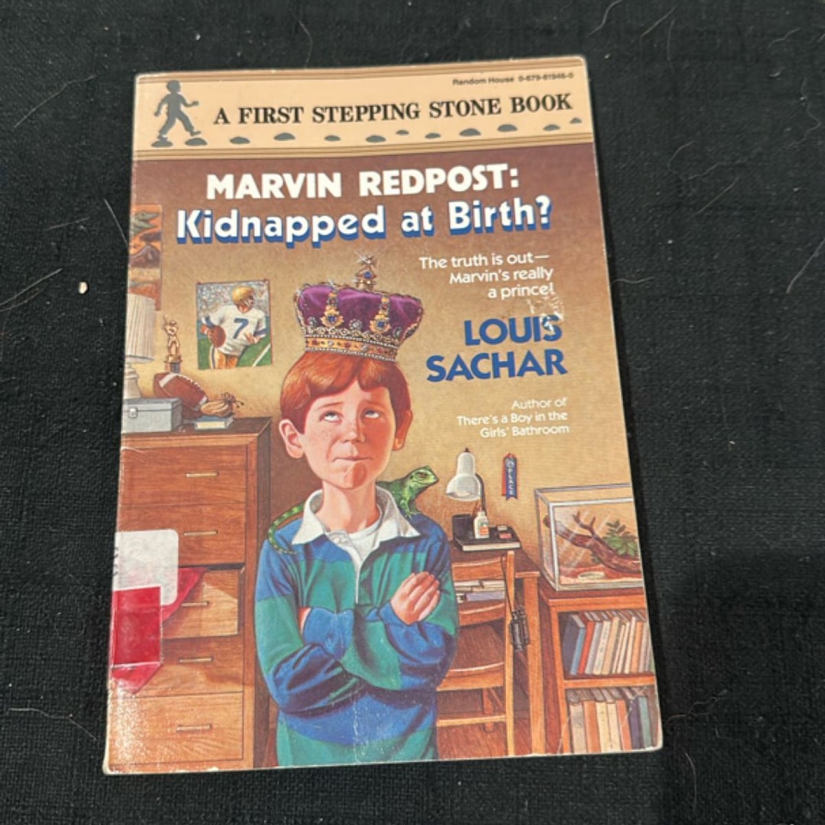 Marvin Redpost #1: Kidnapped at Birth? by Louis Sachar
