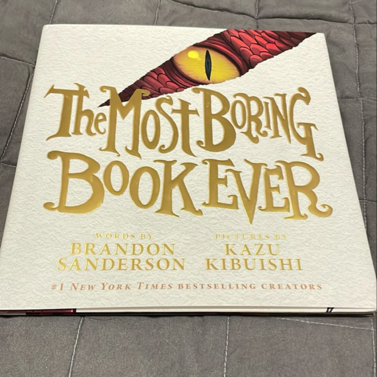 The Most Boring Book Ever by Brandon Sanderson