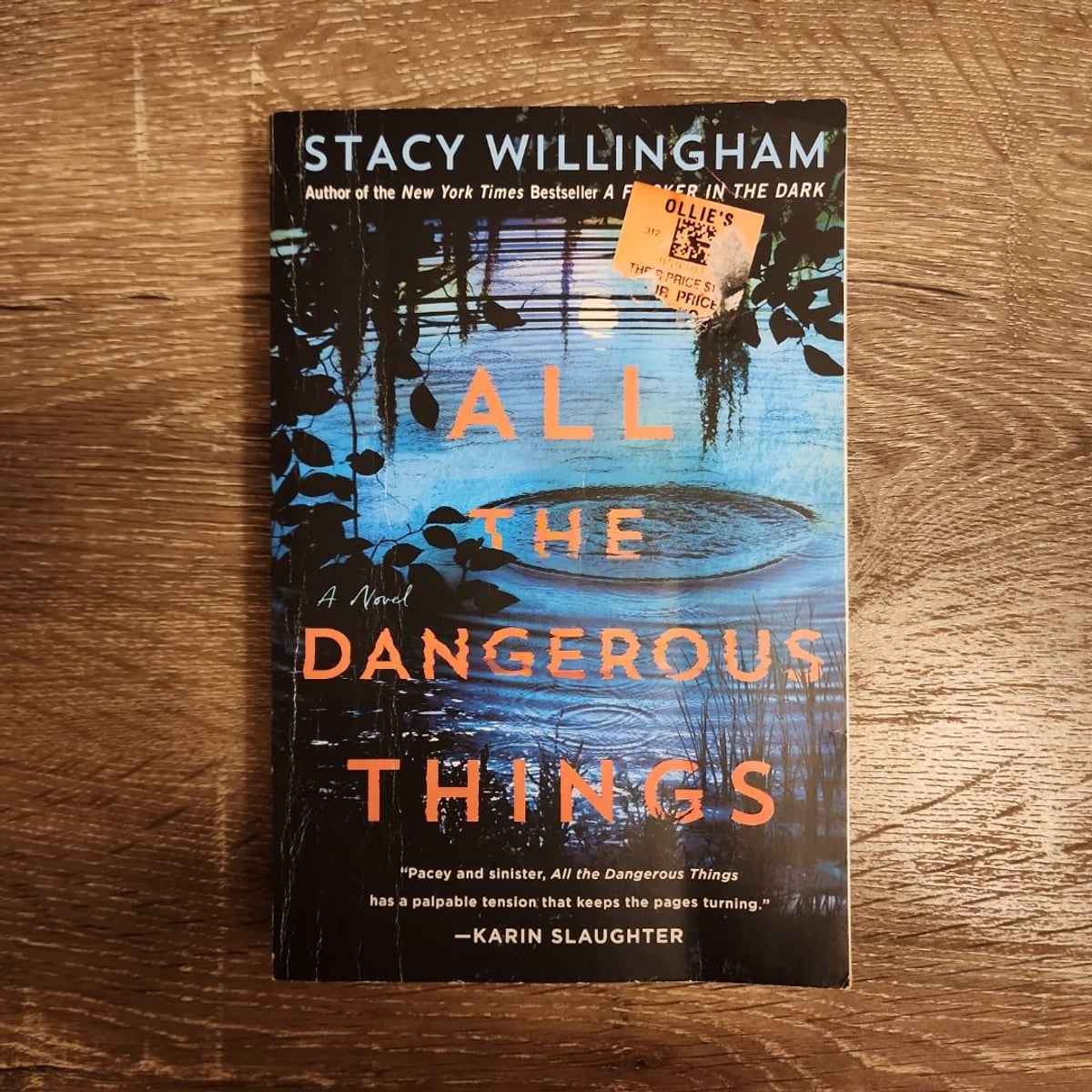 All the Dangerous Things by Stacy Willingham, Paperback | Pangobooks