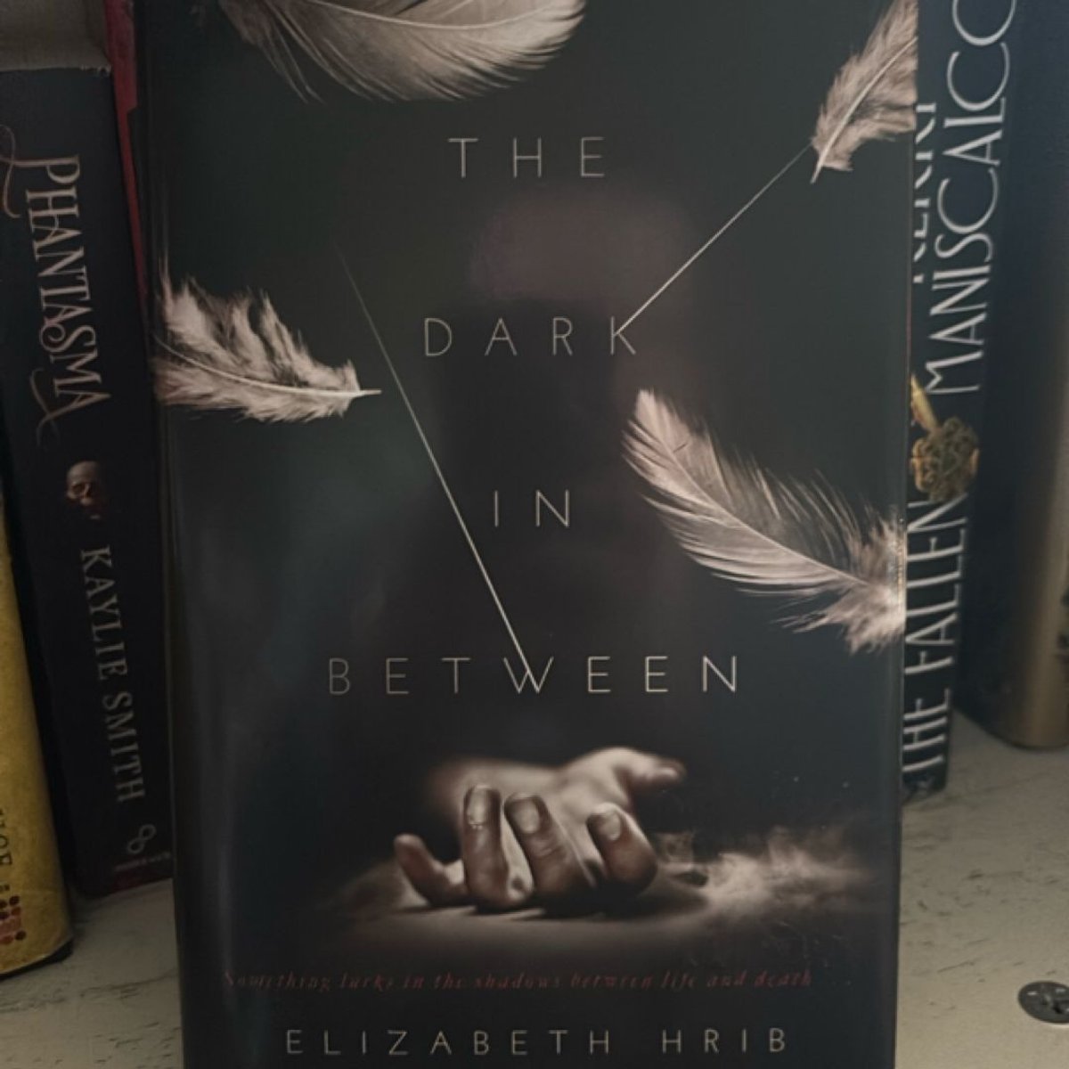 The Dark In-Between by Elizabeth Hrib
