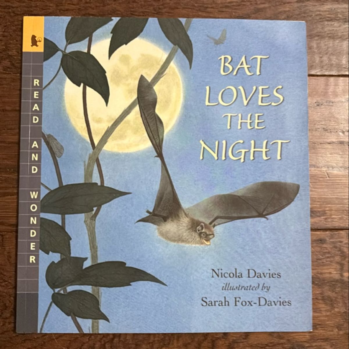 Bat Loves the Night by Nicola Davies
