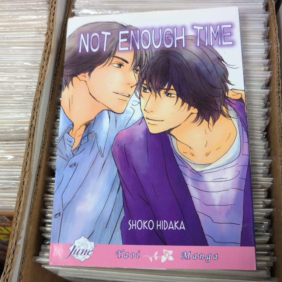 Not Enough Time by Shoko Hidaka