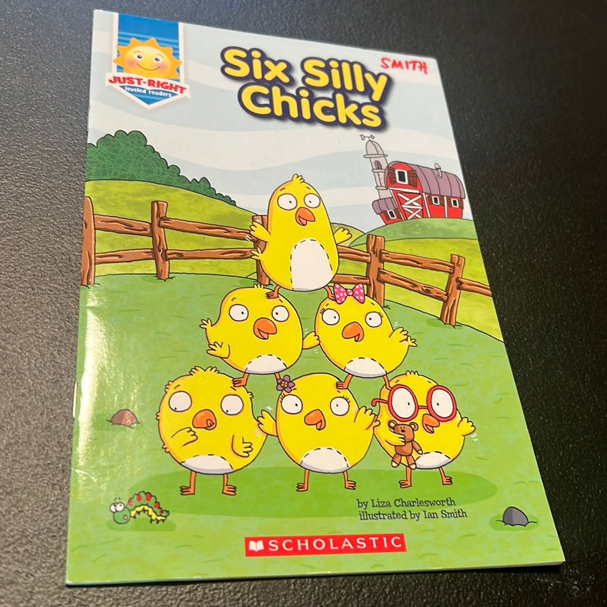 Six Silly Chicks by Liza Charlesworth