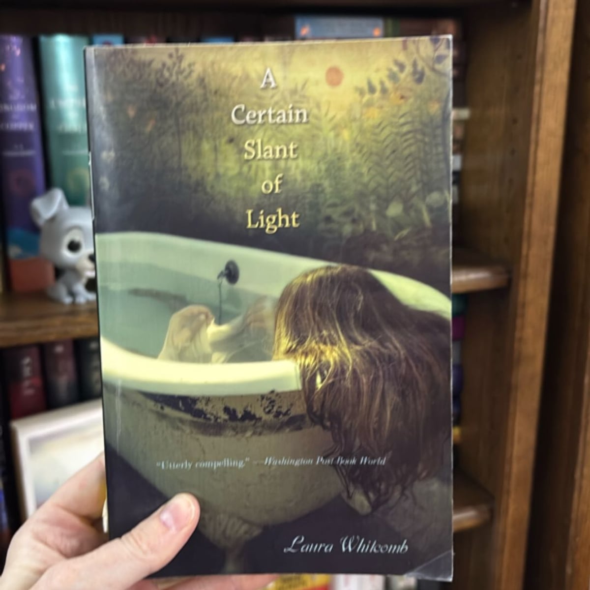 A Certain Slant of Light by Laura Whitcomb