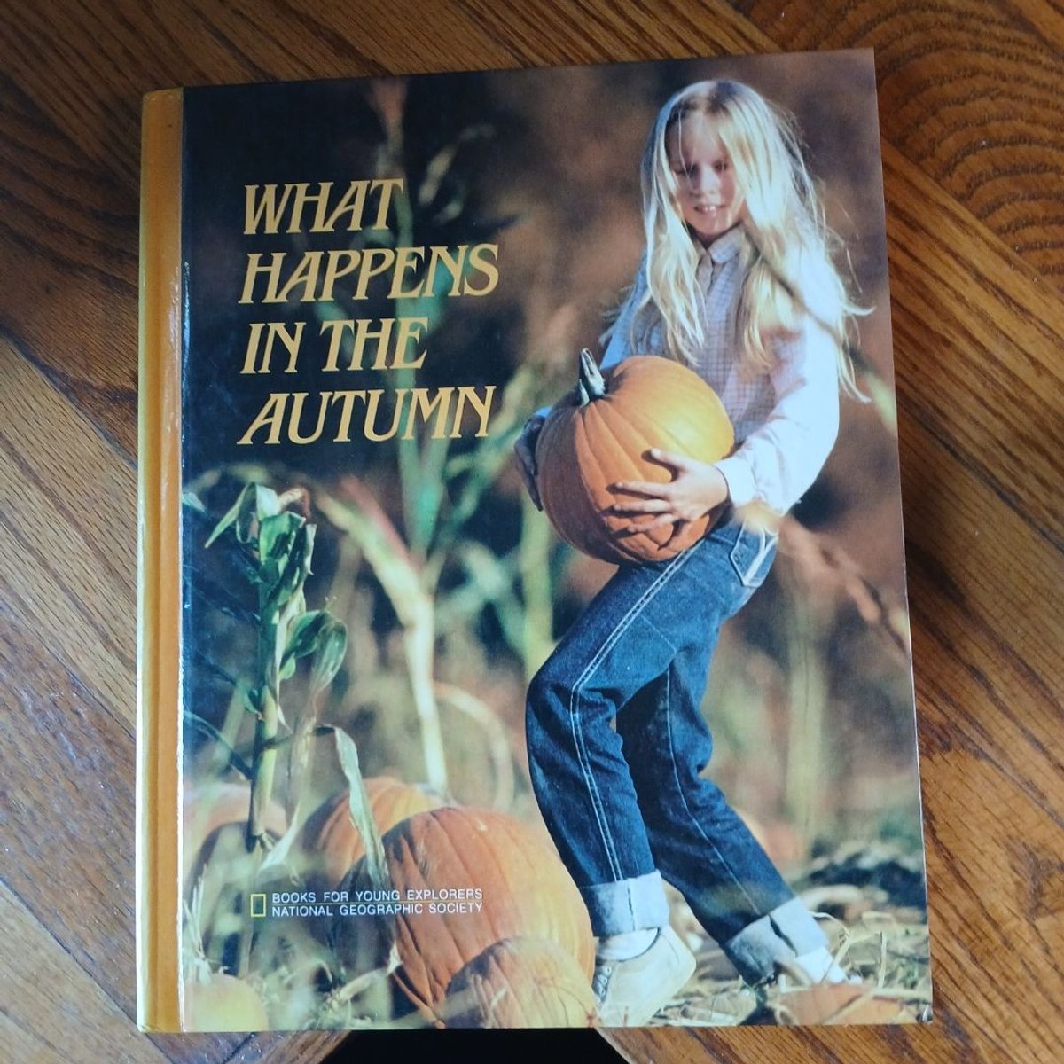 What Happens in the Autumn? by Suzanne Venino
