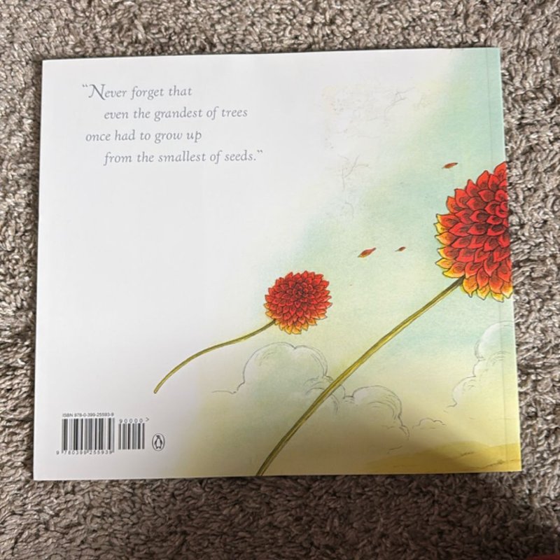 Miss maples seeds by Eliza wheeler, Paperback | Pangobooks