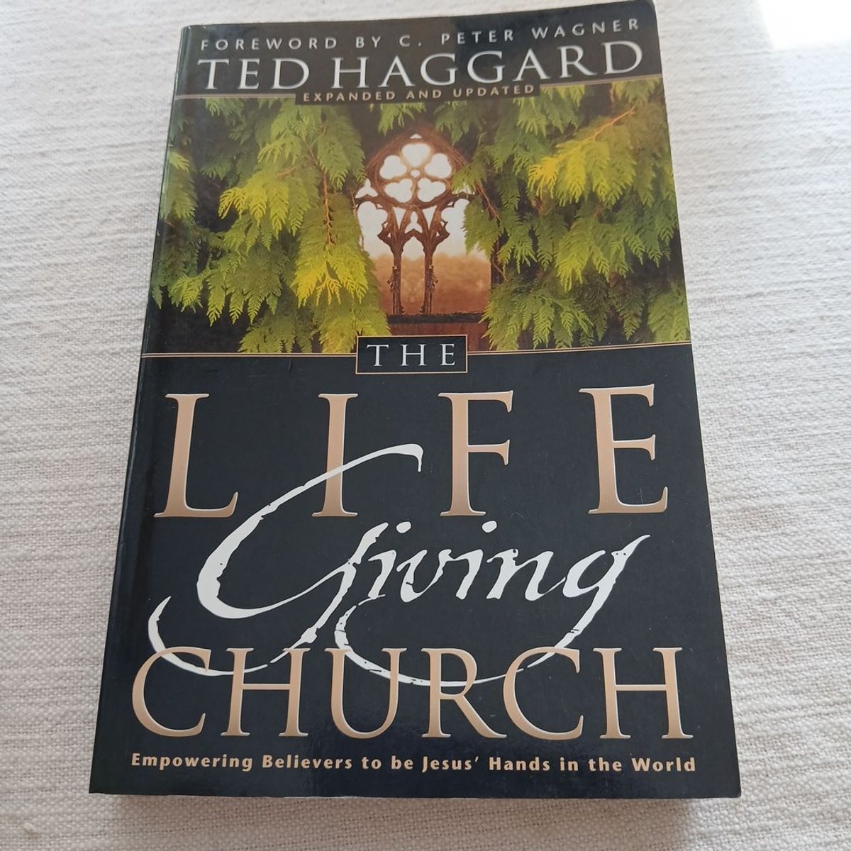 The Life Giving Church by Ted Haggard