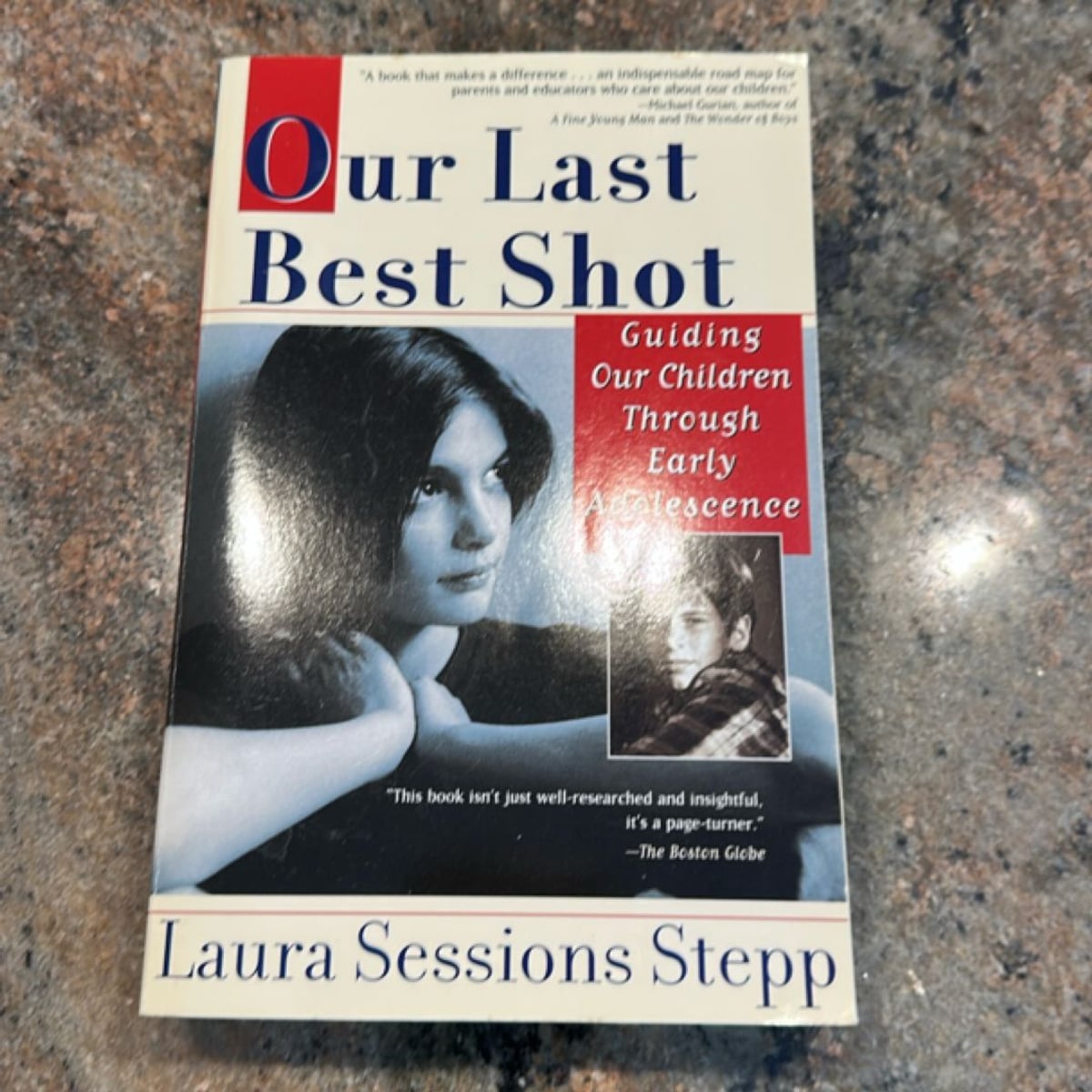 Our Last Best Shot by Laura Sessions Stepp
