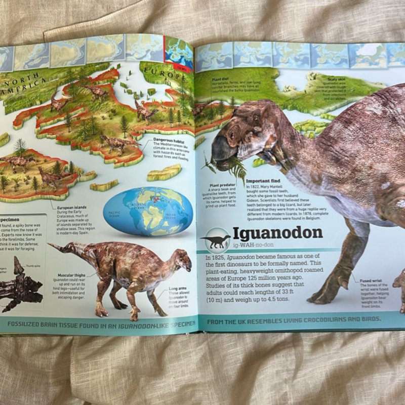 Dinosaur and Other Prehistoric Creatures Atlas by DK