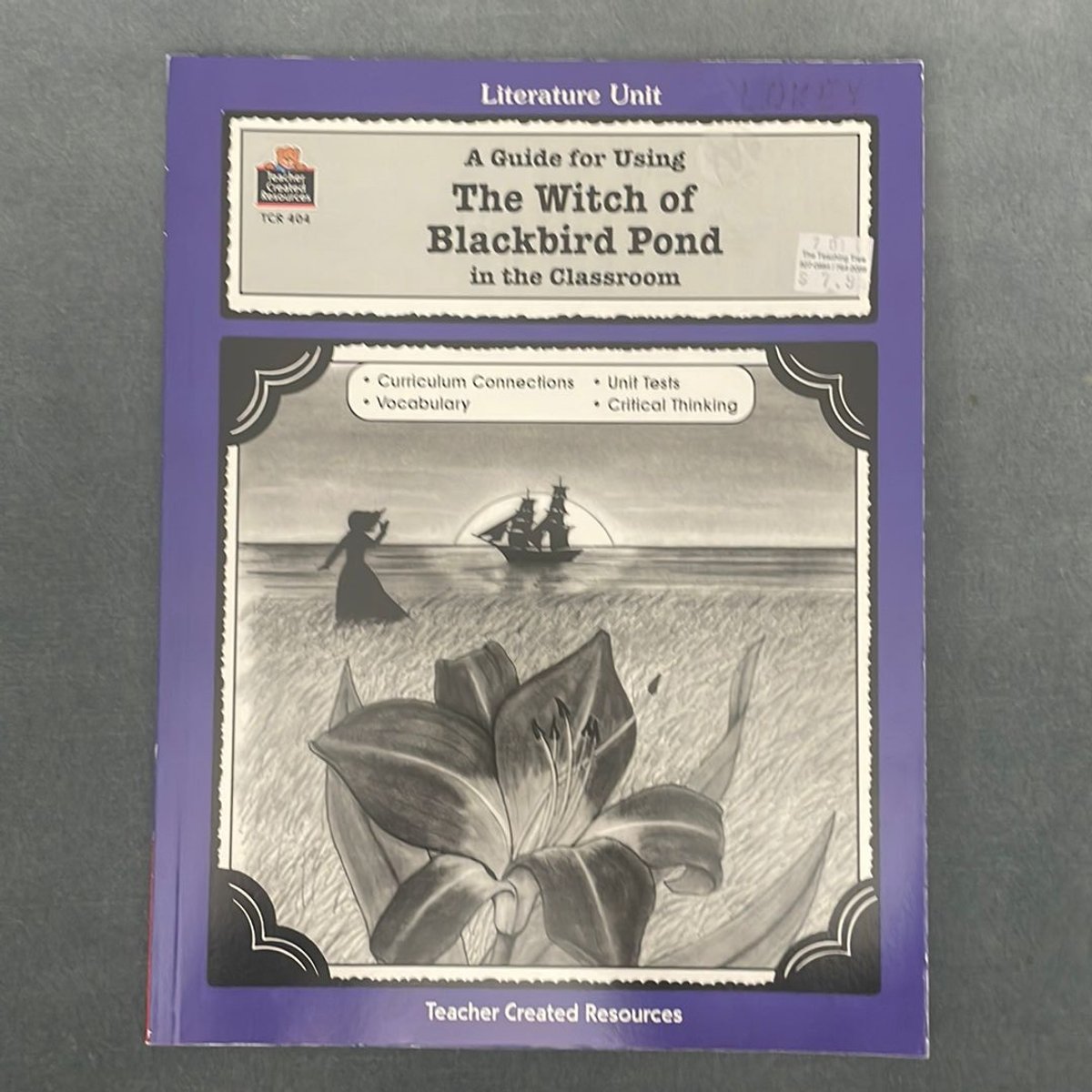 A Guide for Using the Witch of Blackbird Pond in the Classroom by Dona ...