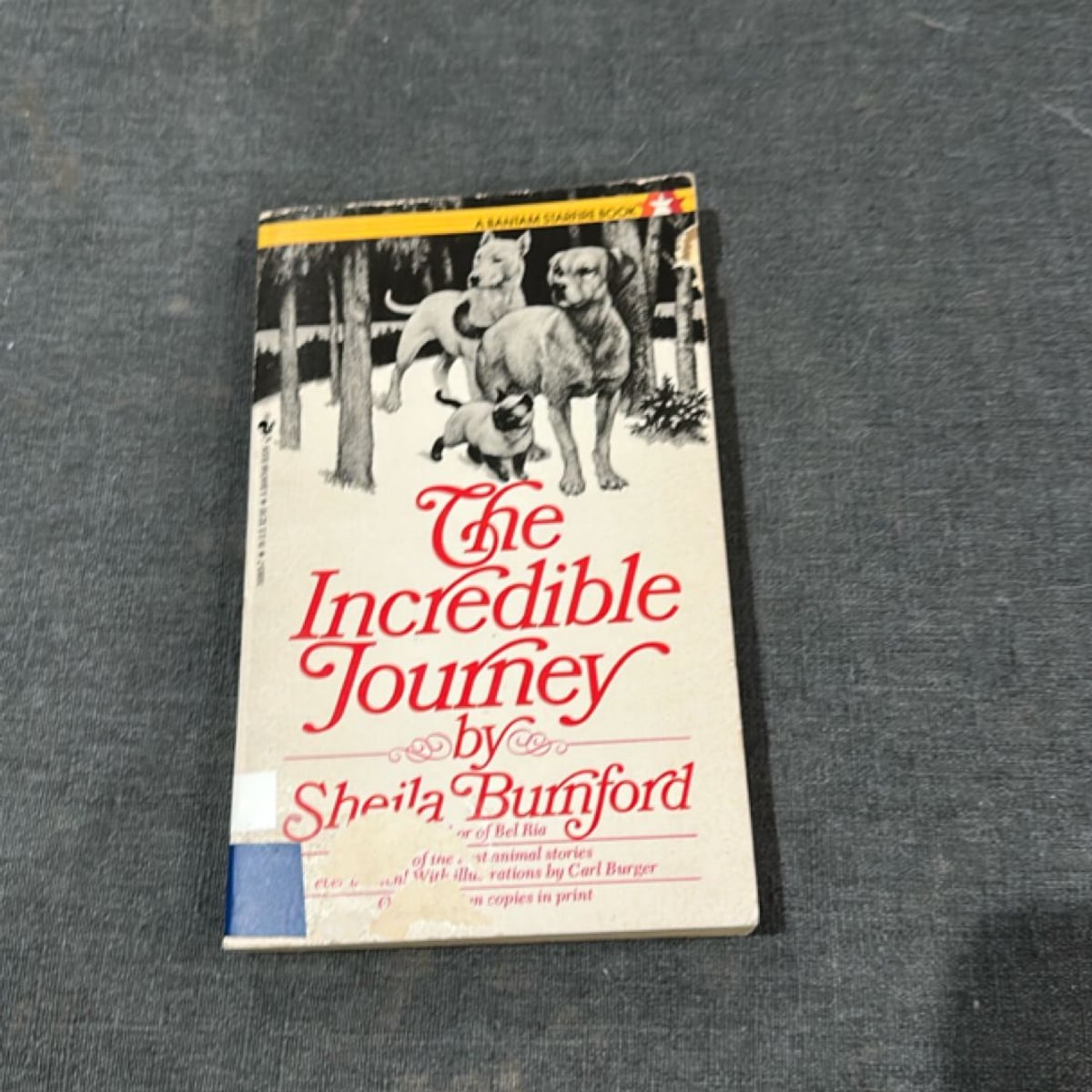 Incredible Journey by Sheila Burnford