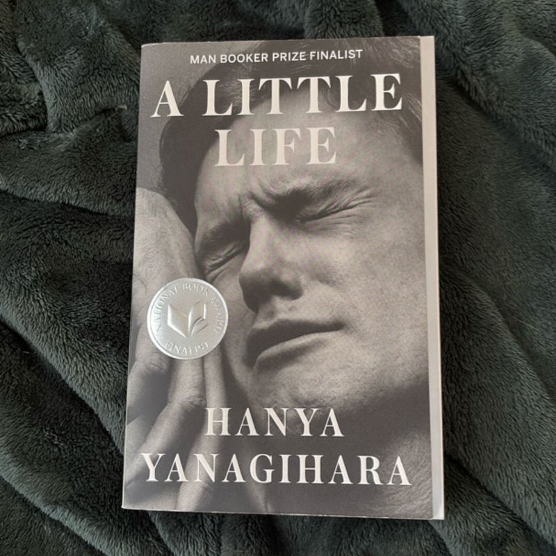 A Little Life by Hanya Yanagihara, Paperback | Pangobooks