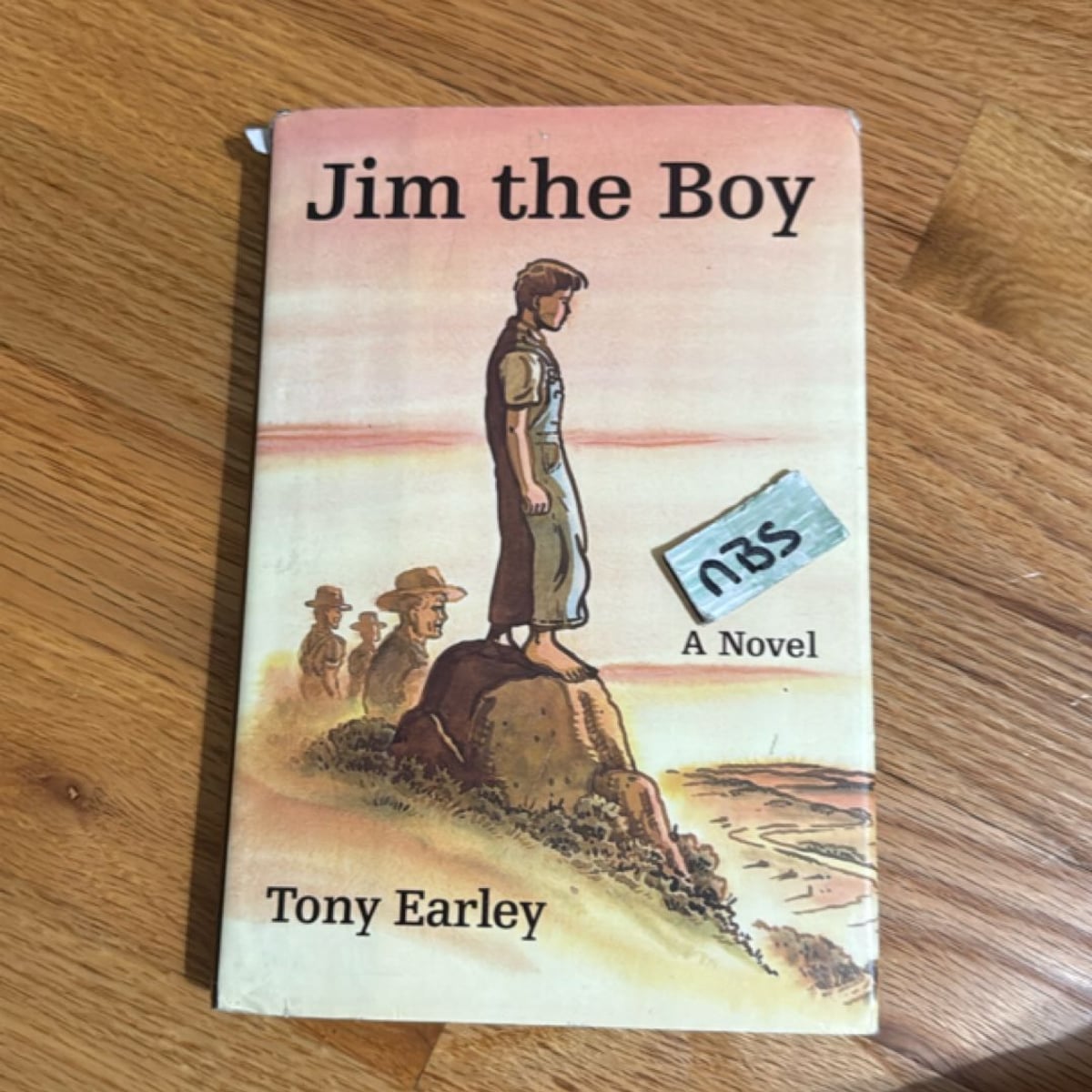 Jim the Boy by Tony Earley