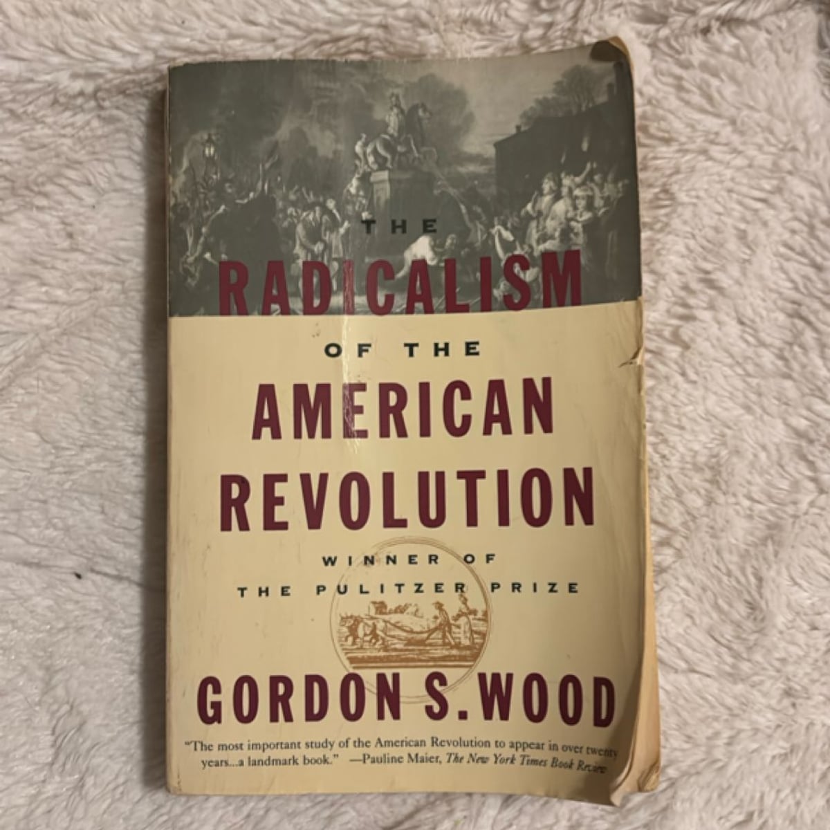 The Radicalism of the American Revolution by Gordon S. Wood