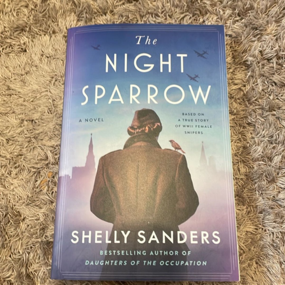 The Night Sparrow by Shelly Sanders
