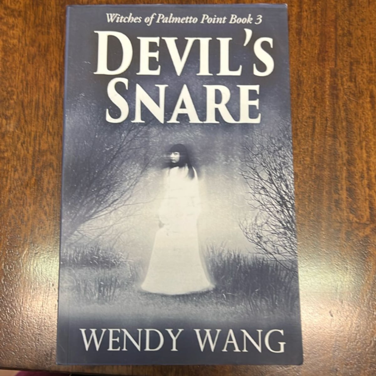 Devil's Snare by Wendy Wang