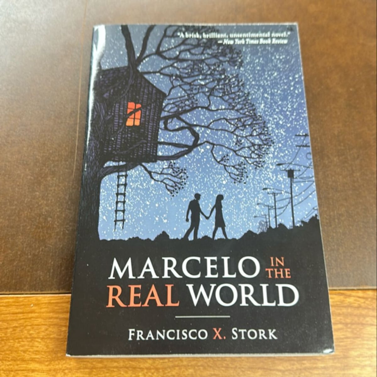 Marcelo in the Real World by Francisco X. Stork