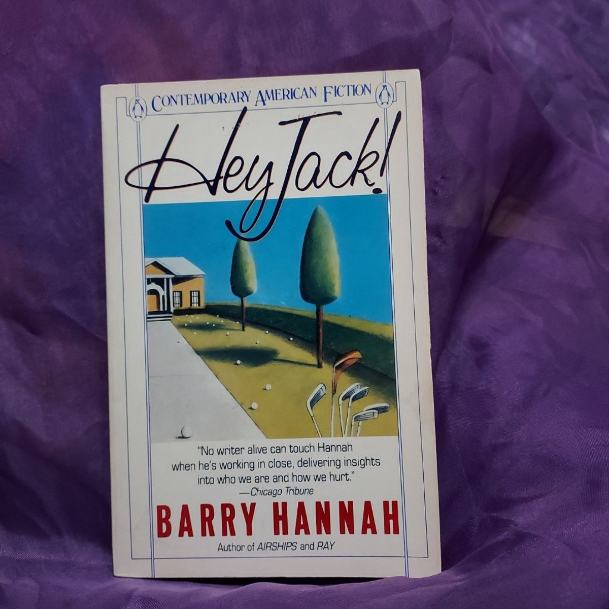 Hey Jack! by Barry Hannah