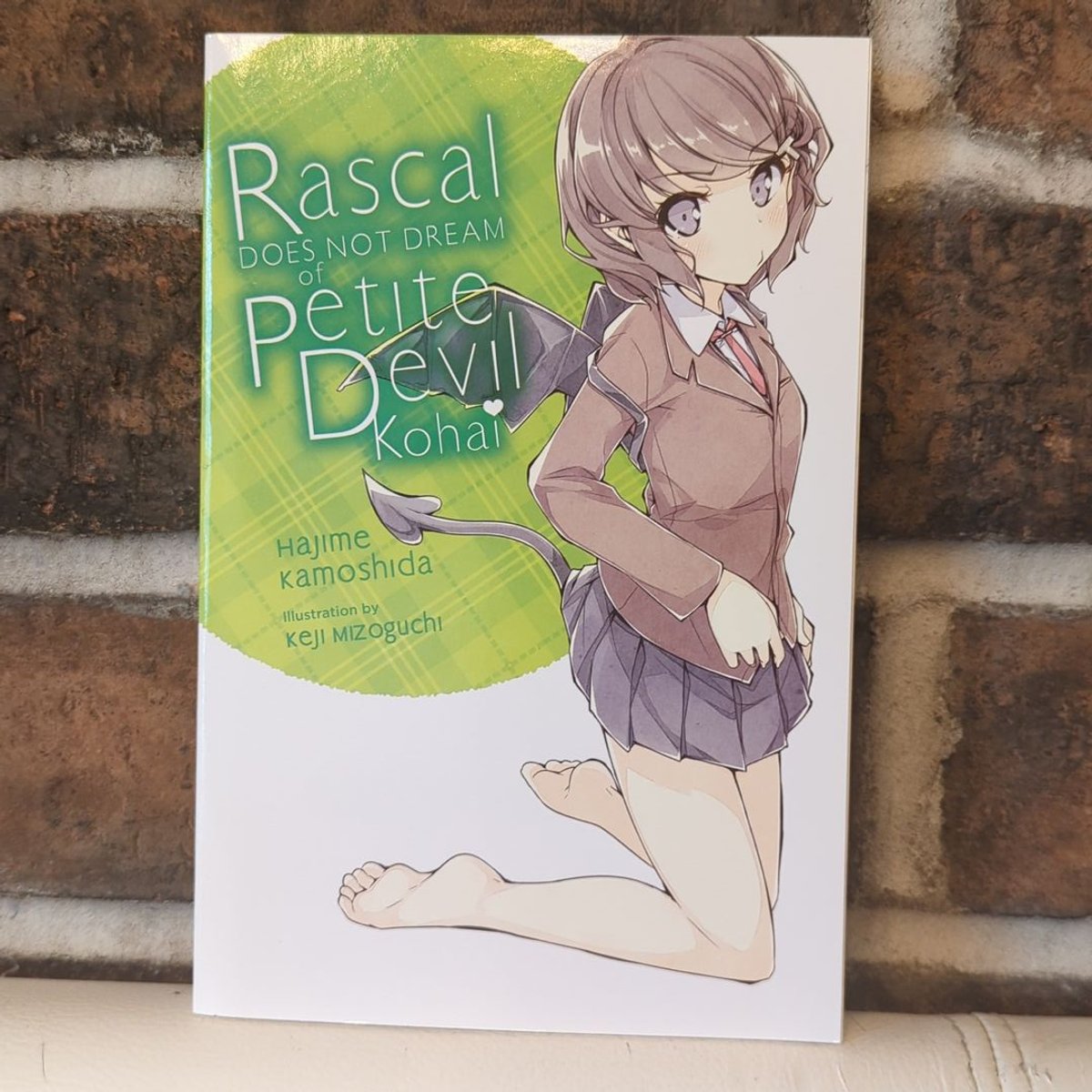 Rascal Does Not Dream of Petite Devil Kohai (light Novel) by Hajime ...