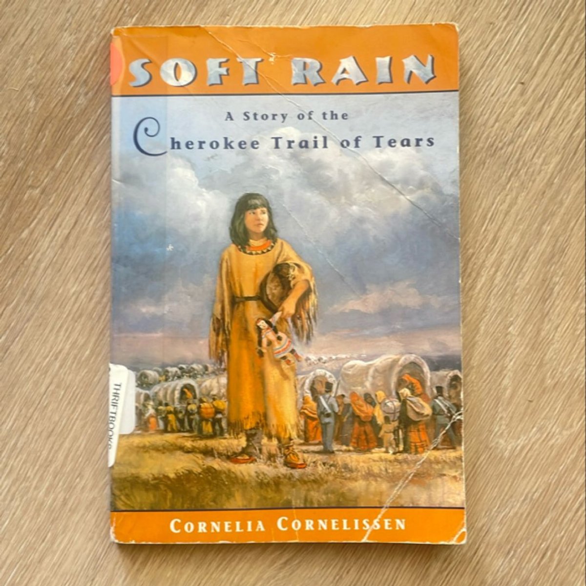 Soft Rain by Cornelia Cornelissen