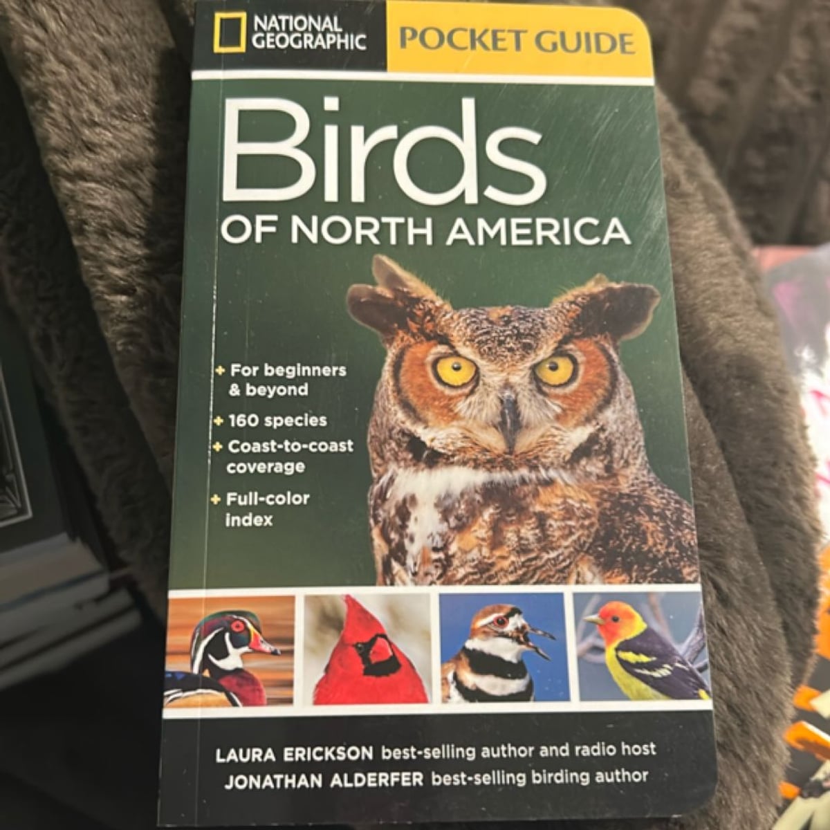 National Geographic Pocket Guide to the Birds of North America by Laura ...