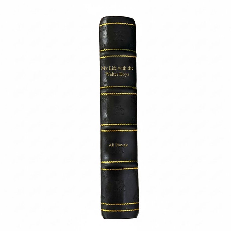 My Life with the Walter Boys by Ali Novak Leather Bound Edition by Ali ...