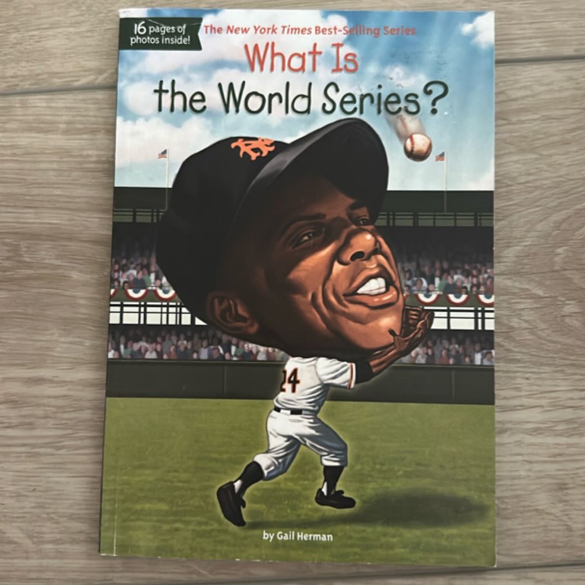 What Is the World Series? by Gail Herman, Who HQ