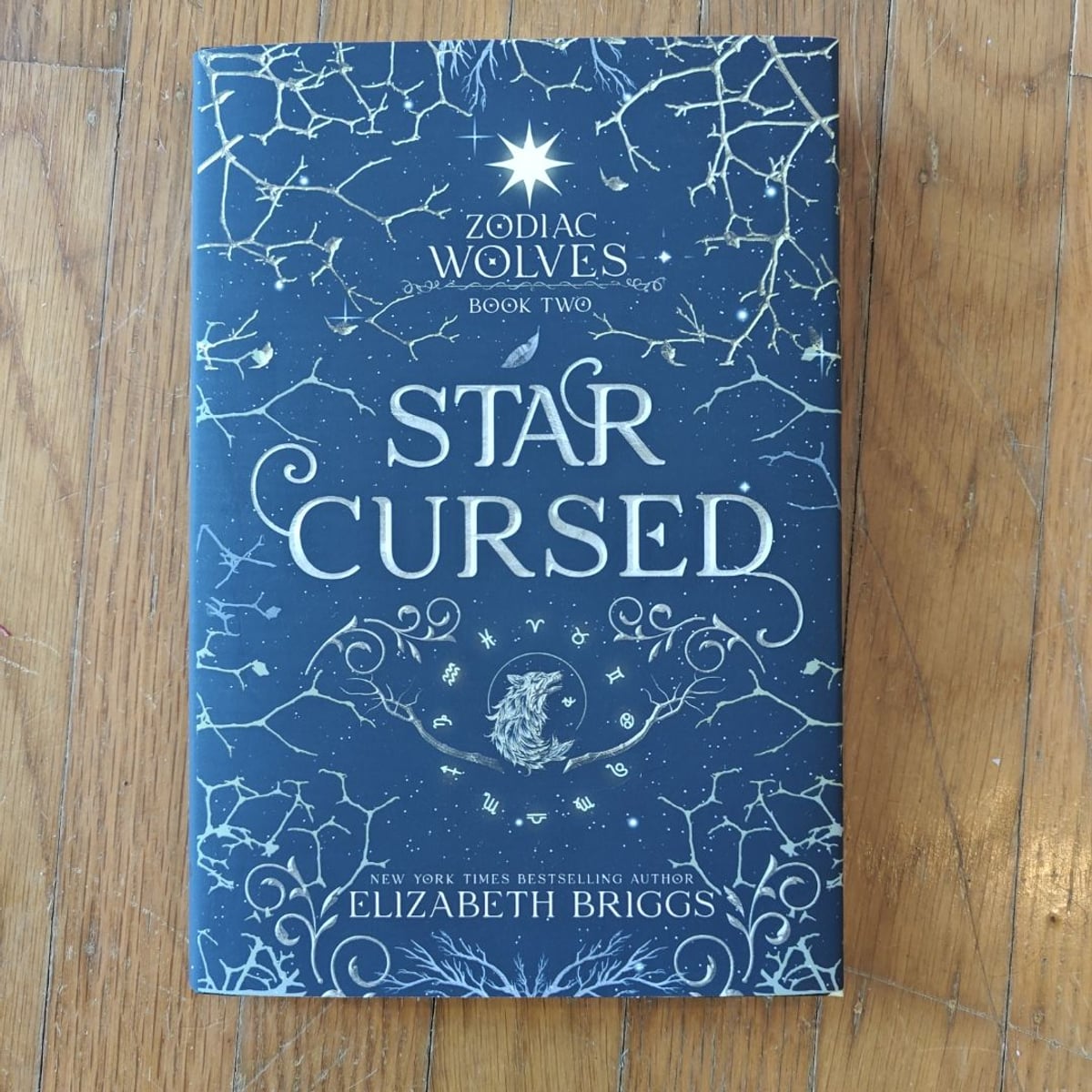 Star Cursed by Elizabeth Briggs