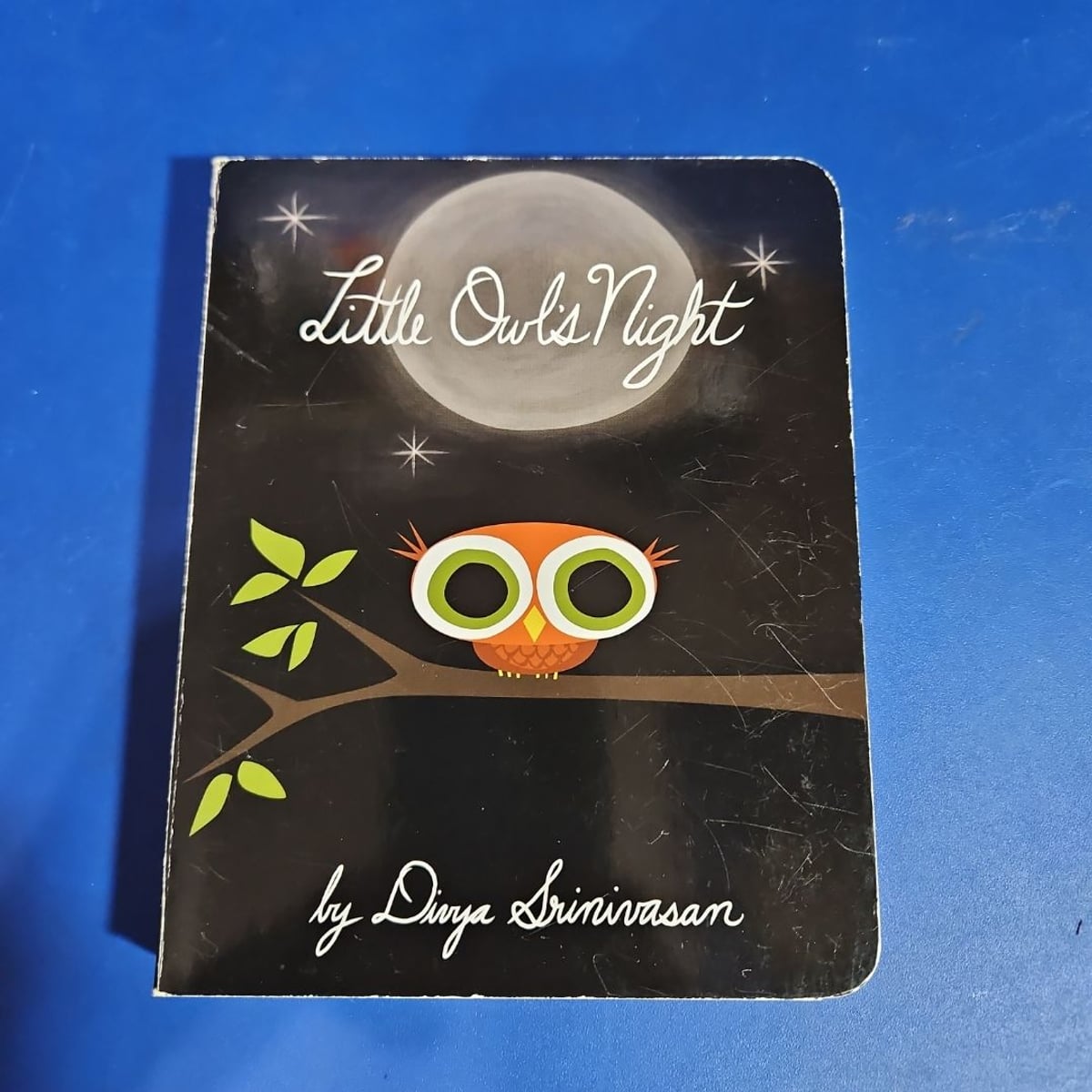 Little Owl's Night by Divya Srinivasan