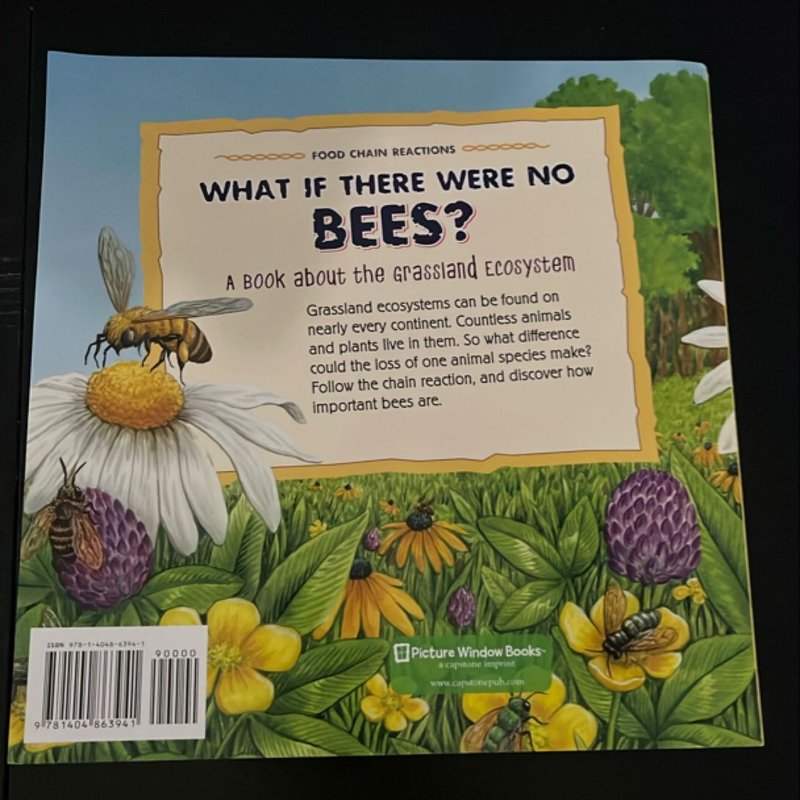 What If There Were No Bees? by Suzanne Slade