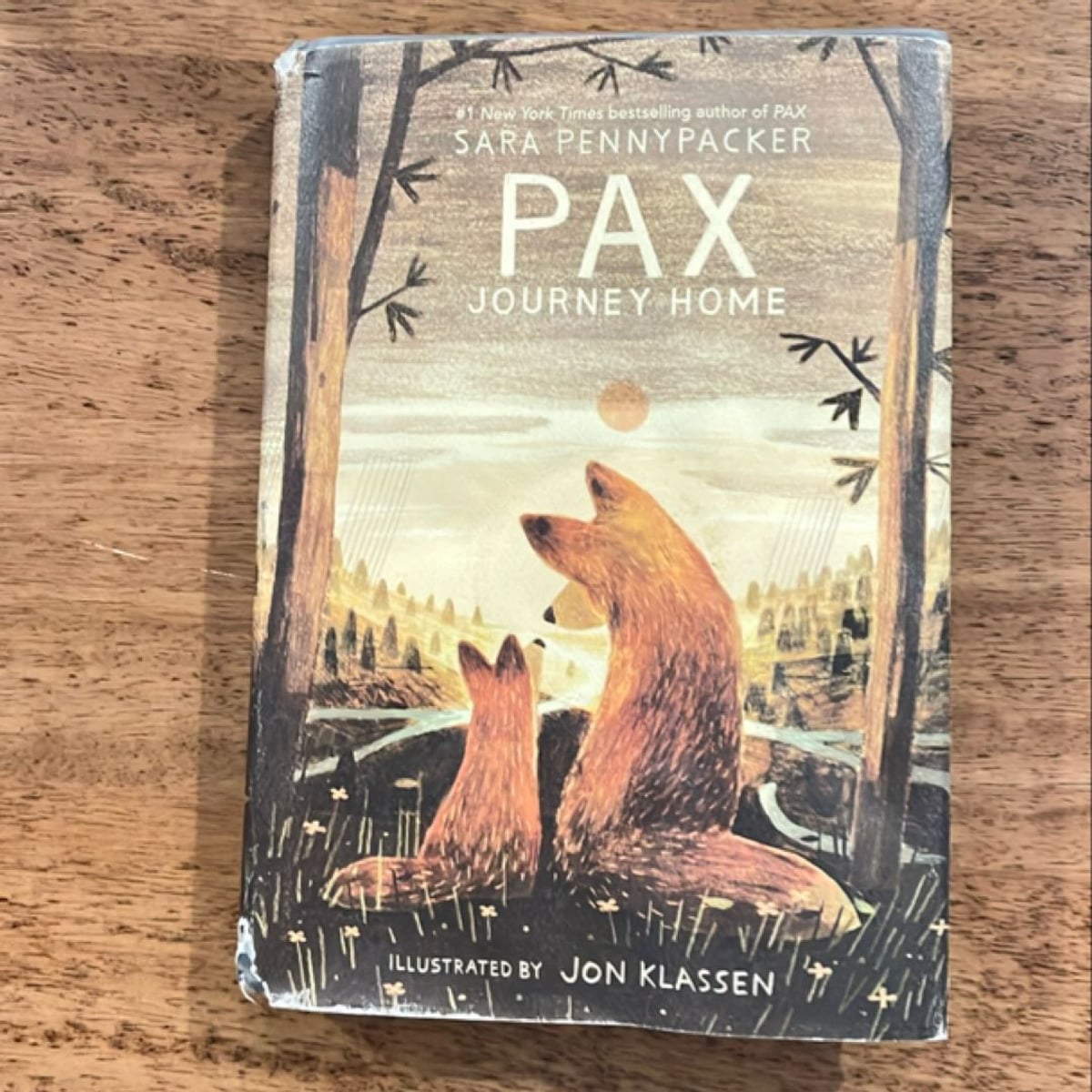 Pax, Journey Home by Sara Pennypacker