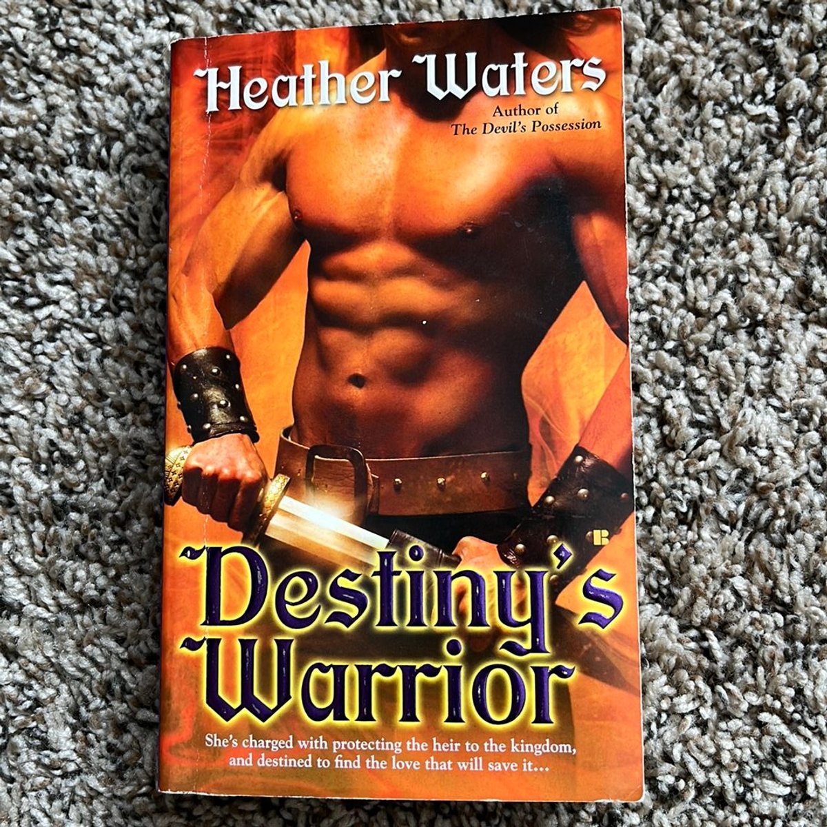 Destiny's Warrior by Heather Waters