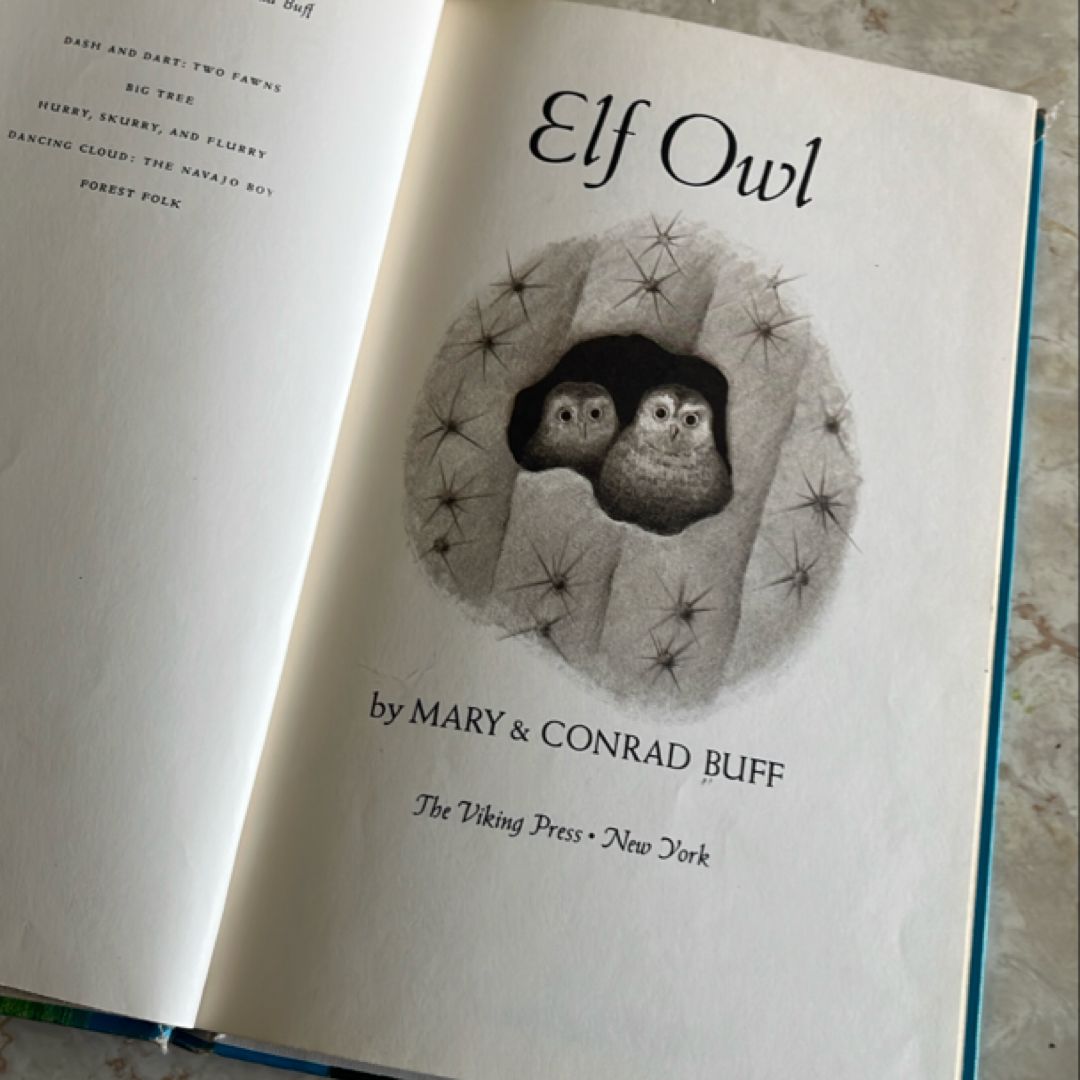 Elf Owl by Mary Buff, Conrad Buff, Hardcover | Pangobooks