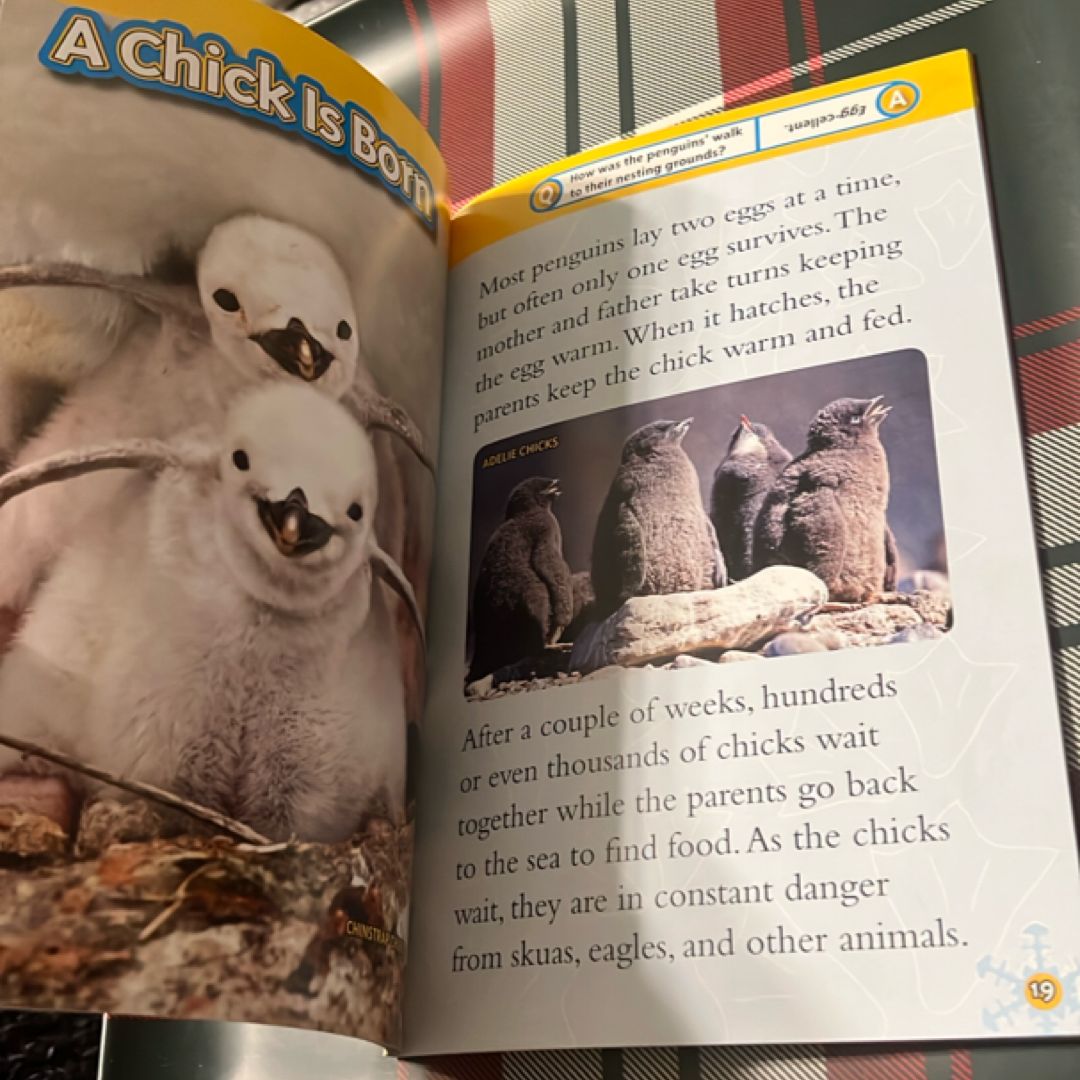 National Geographic Readers: Penguins! by Anne Schreiber