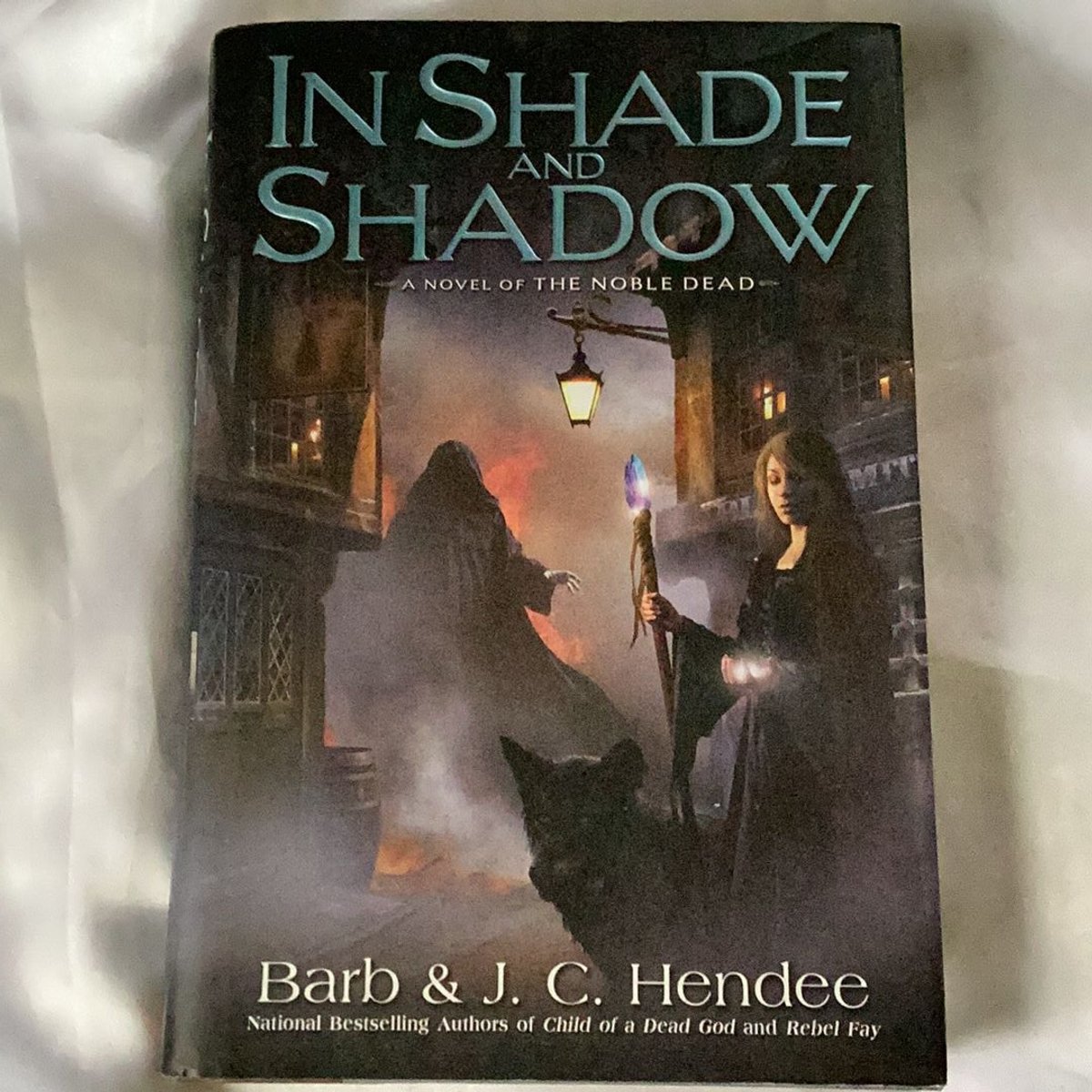 In Shade and Shadow by Barb Hendee, J. C. Hendee
