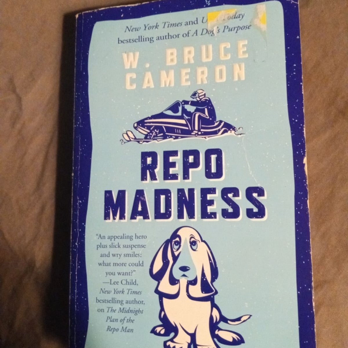 Repo Madness by W. Bruce Cameron